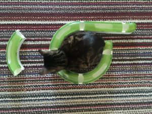 Active Cat Toys: 17 New Ways to Build Your Catit Senses 2.0 Play Circuit