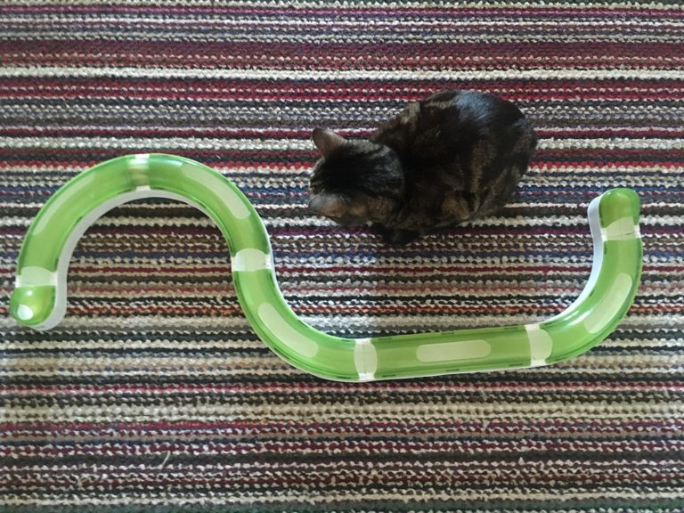 Active Cat Toys: 17 New Ways to Build Your Catit Senses 2.0 Play Circuit