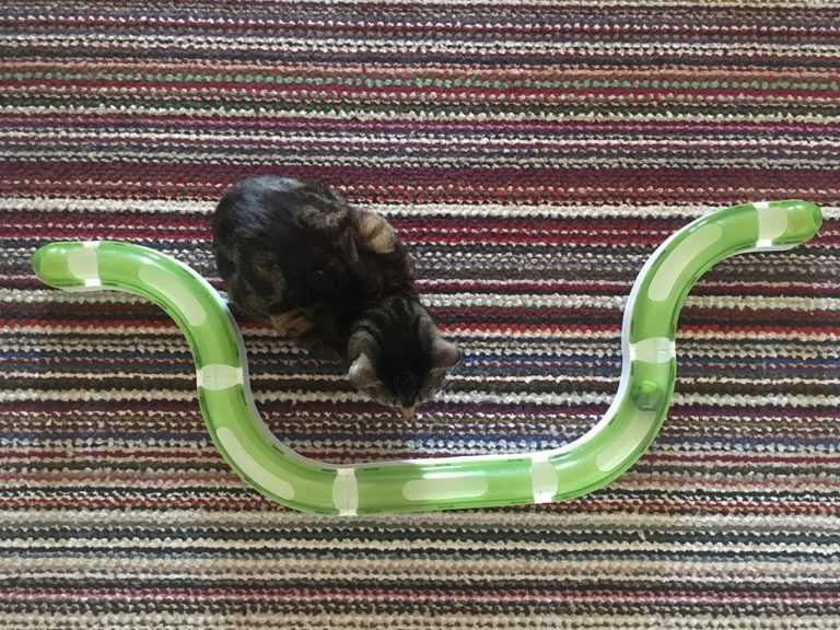 Active Cat Toys: 17 New Ways to Build Your Catit Senses 2.0 Play Circuit