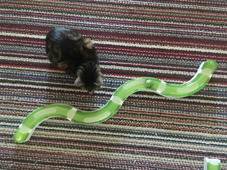 Active Cat Toys: 17 New Ways to Build Your Catit Senses 2.0 Play Circuit