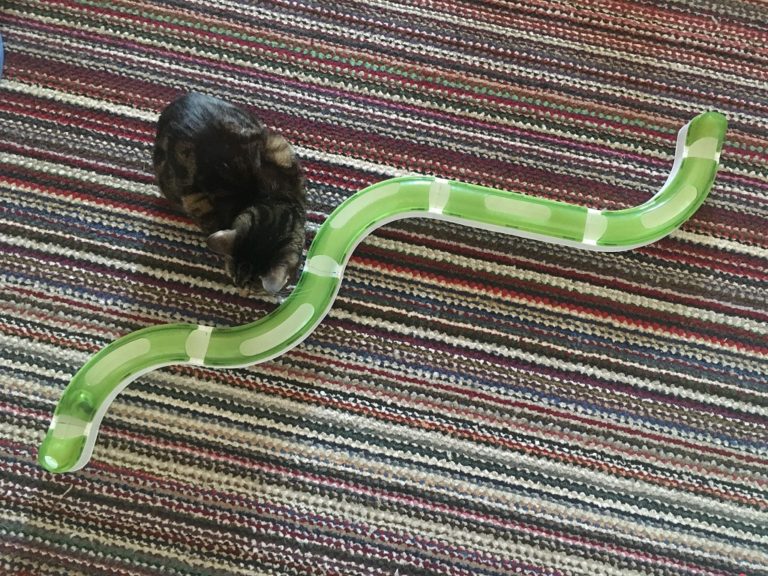 Active Cat Toys: 17 New Ways to Build Your Catit Senses 2.0 Play Circuit