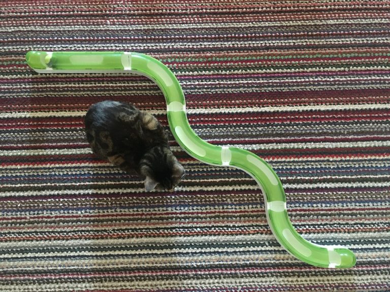 Active Cat Toys: 17 New Ways to Build Your Catit Senses 2.0 Play Circuit