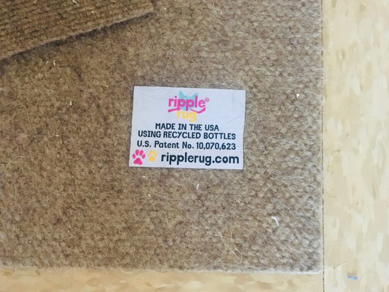 Best Puzzle Rug for Cats Product Reviews - Jess Caticles