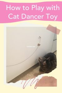 Cat Dancer Toy Review and 10 Ways to Play - Jess Caticles
