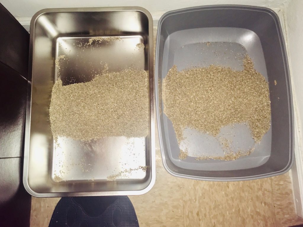 Easy litter cleaning hacks that keep the smell out