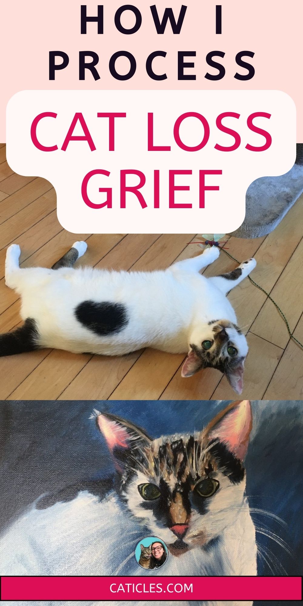 My cat died and I feel guilty, how I process grief - Jess Caticles