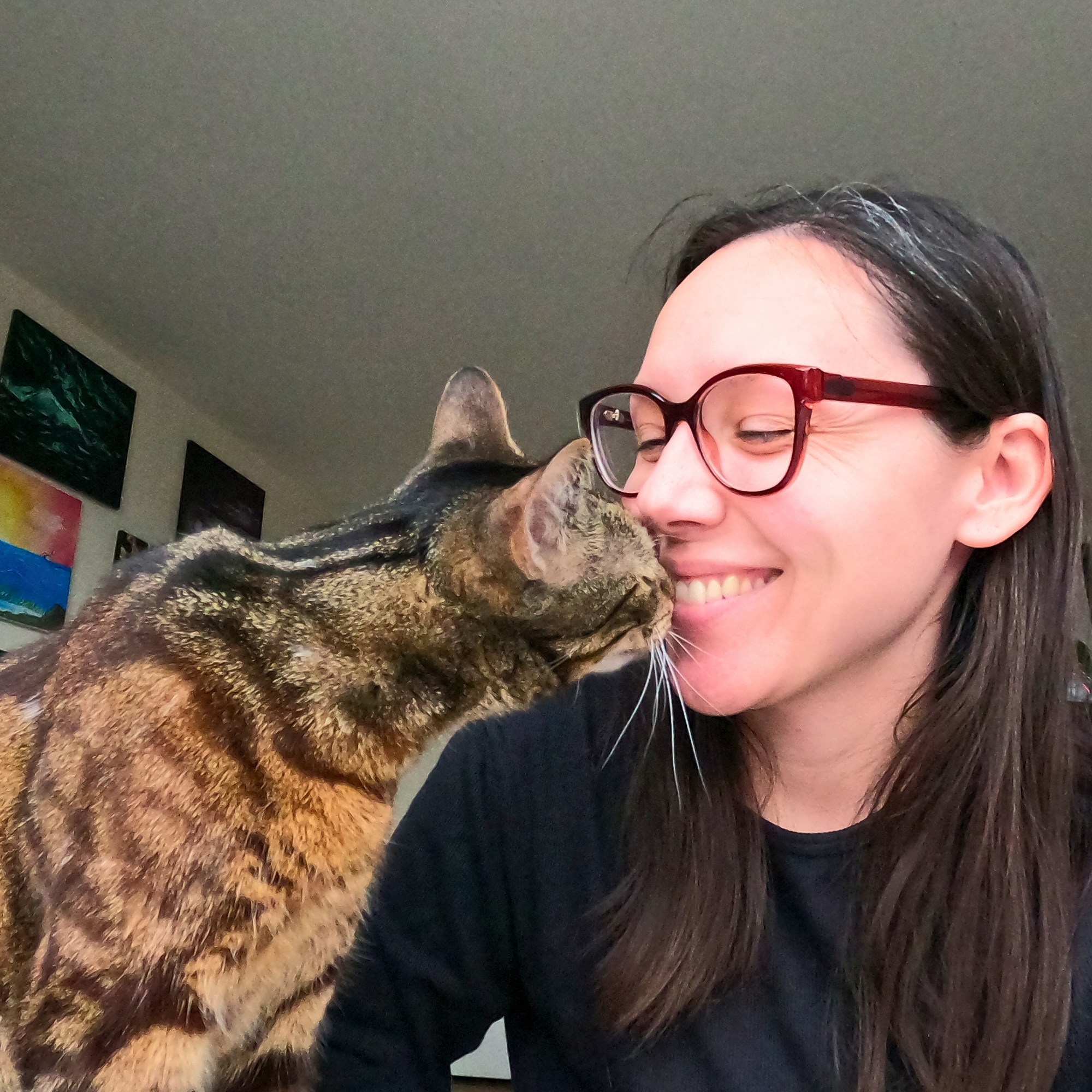 How to form a strong bond with your cat - Jess Caticles
