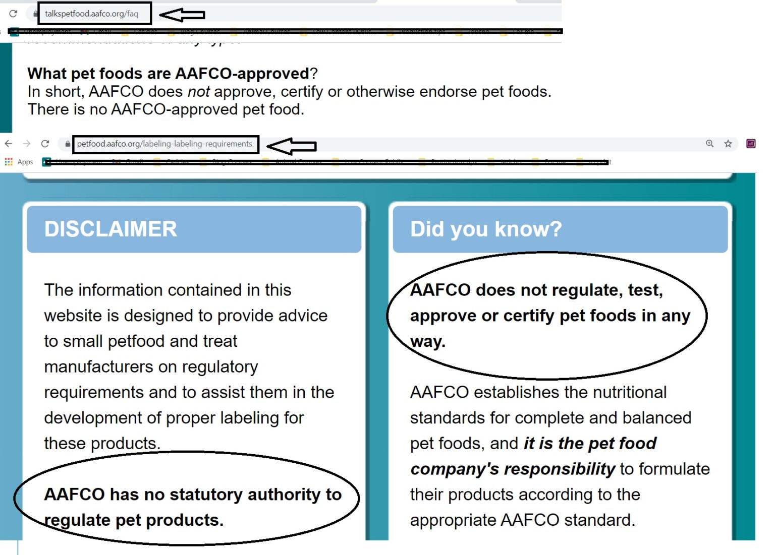 Cat Food Facts 10 Things You Need to Know About Cat Nutrition