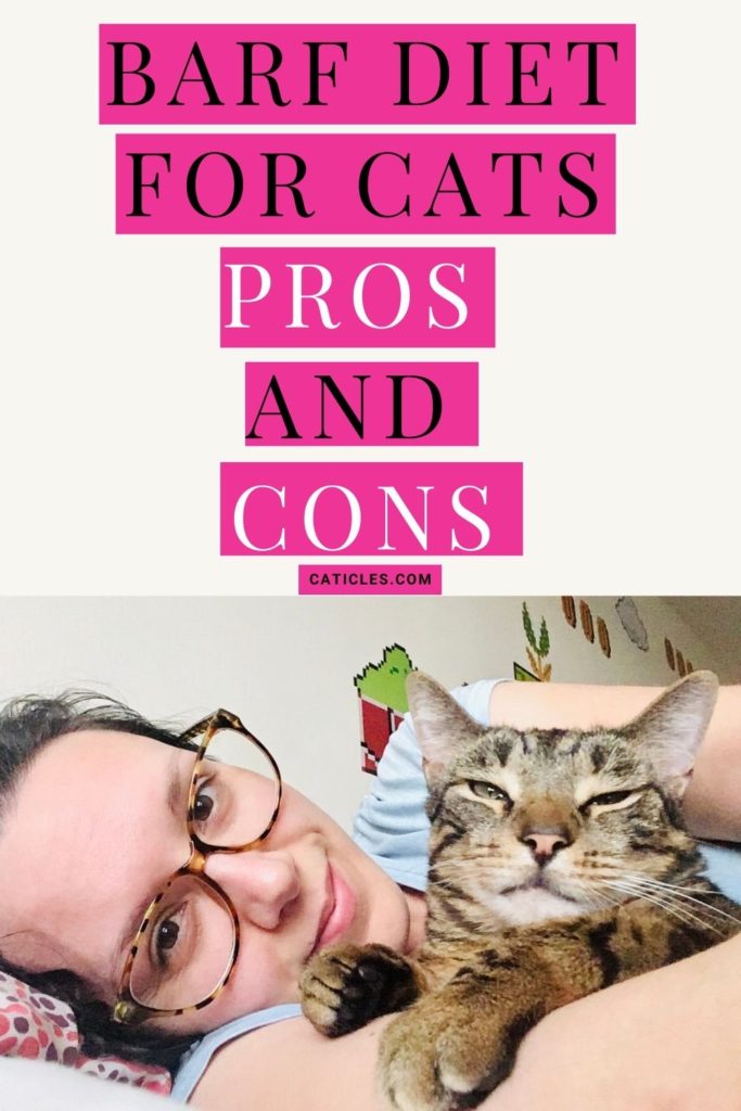 BARF Diet for Cats Food and Nutrition According to Vets