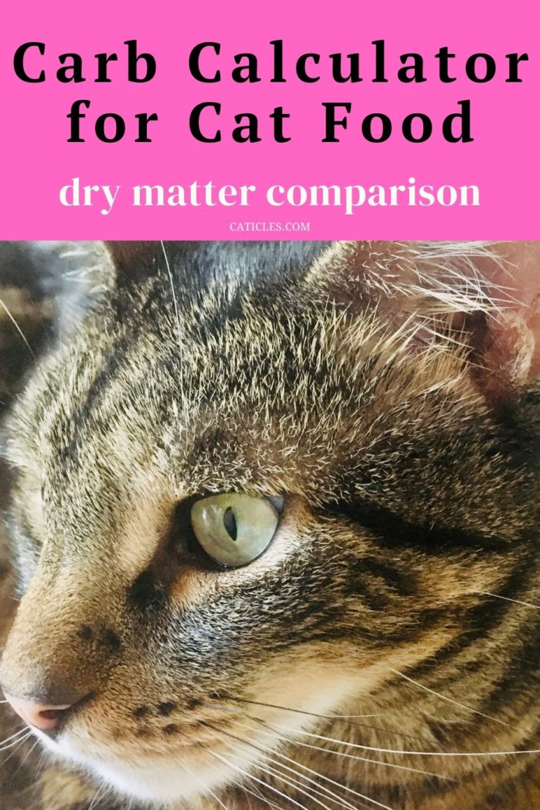 Carb Calculator for Cat Food [Dry Matter] - Jess Caticles