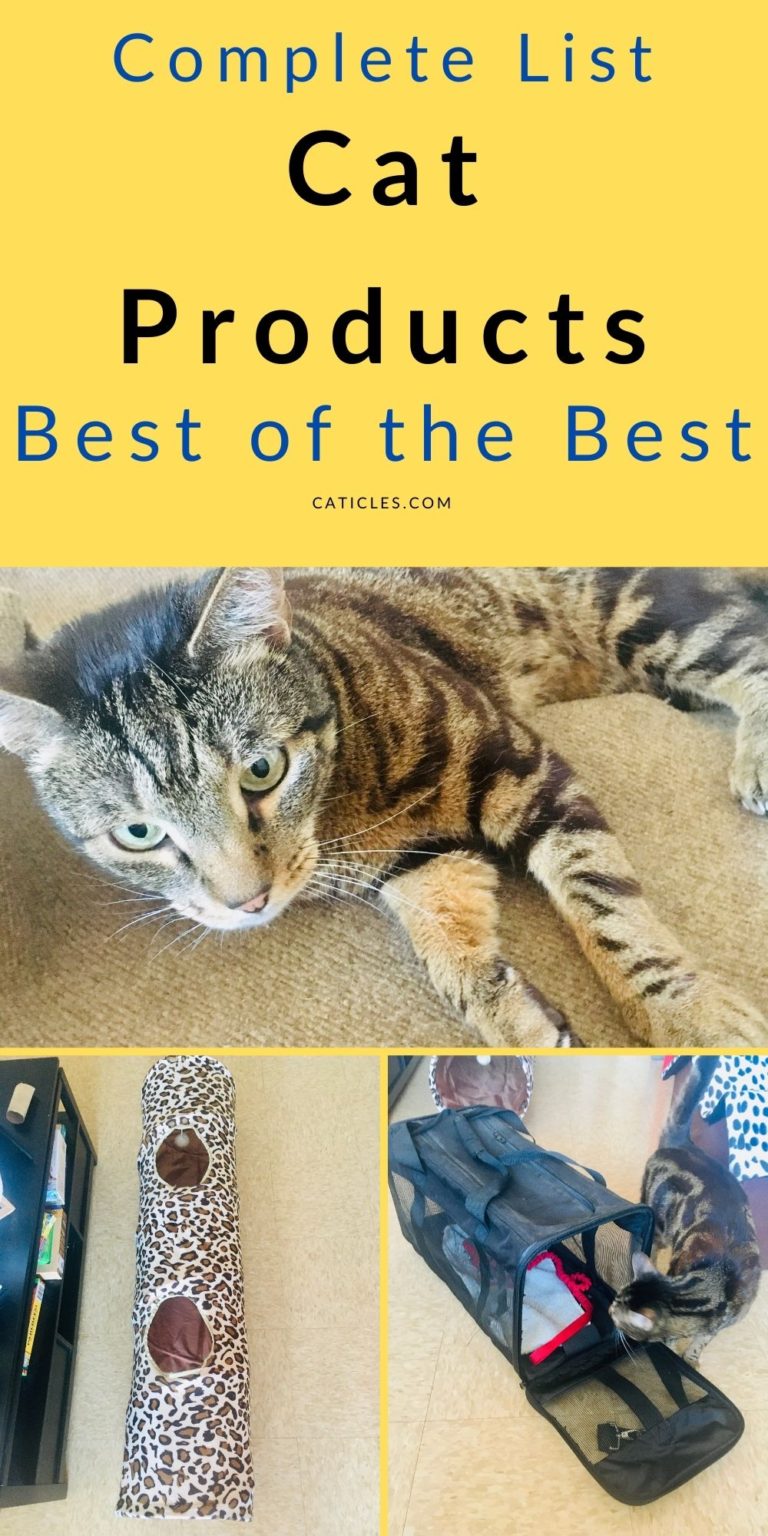 Best Cat Supplies Everything a Cat Needs That You Should Buy - Jess ...