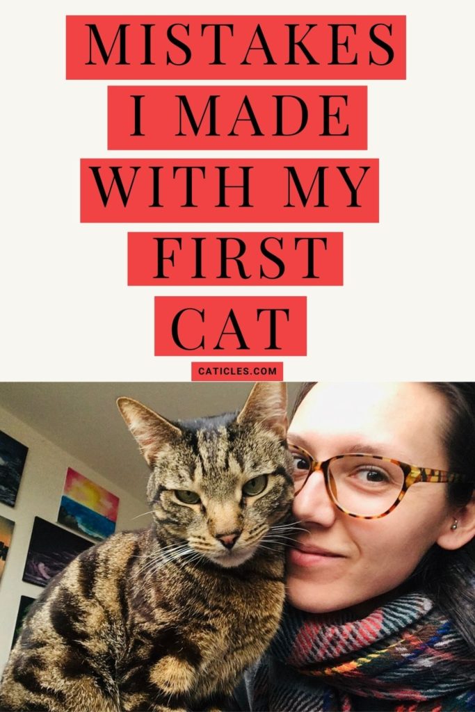 My First Cat Mistakes I Made and Owning a Cat 101 - Jess Caticles