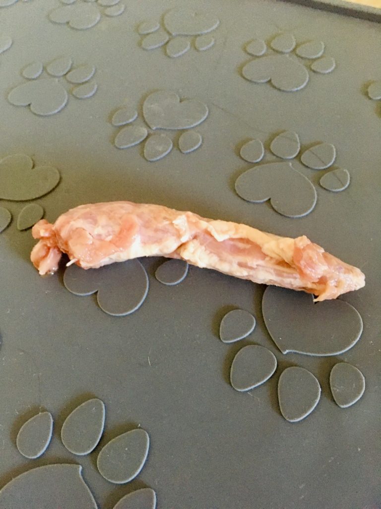 Can cats eat bones? Important dos and don'ts - Jess Caticles