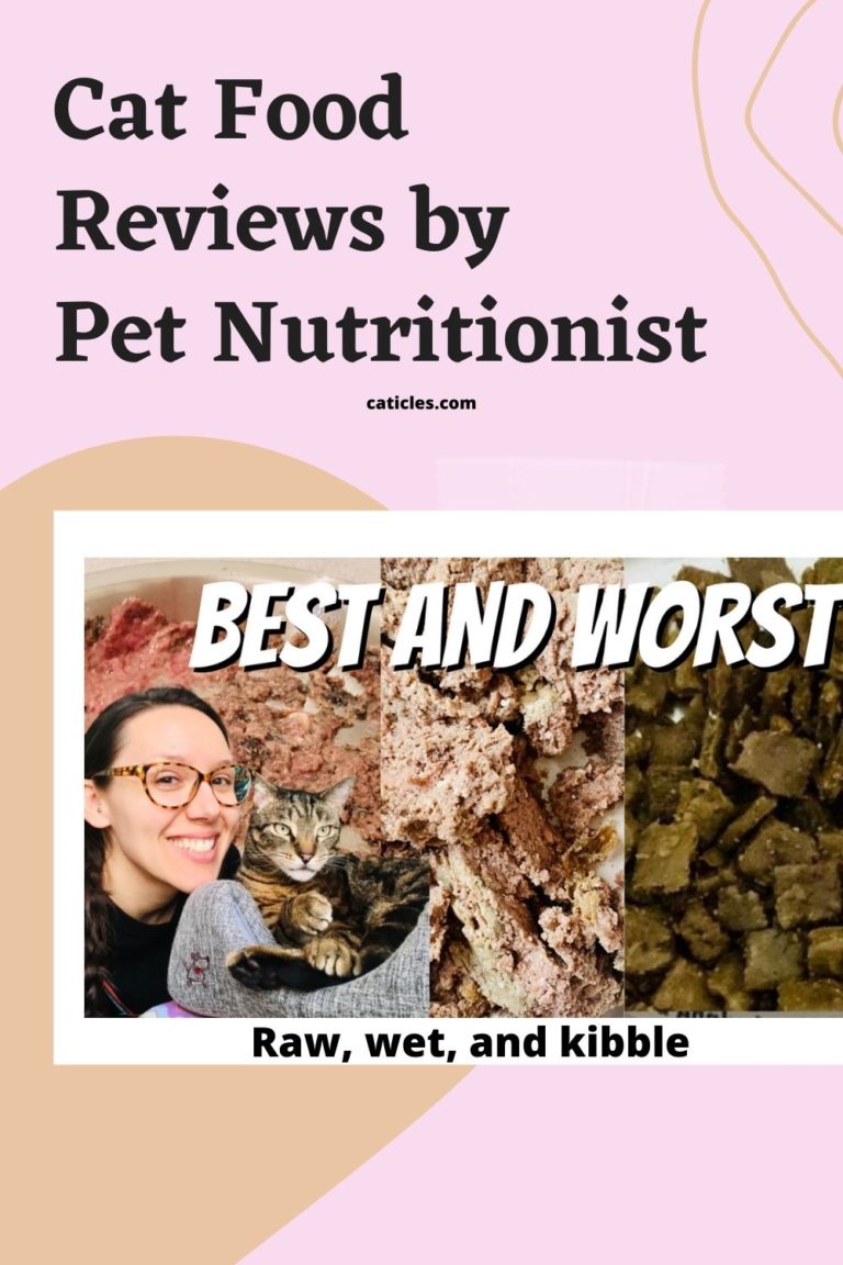 Best and Worst Cat Food Reviewed by Pet Nutritionist