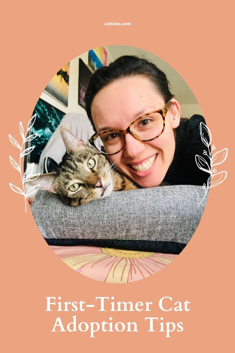 Adopting a Cat for the First Time? 8 First Timer Tips