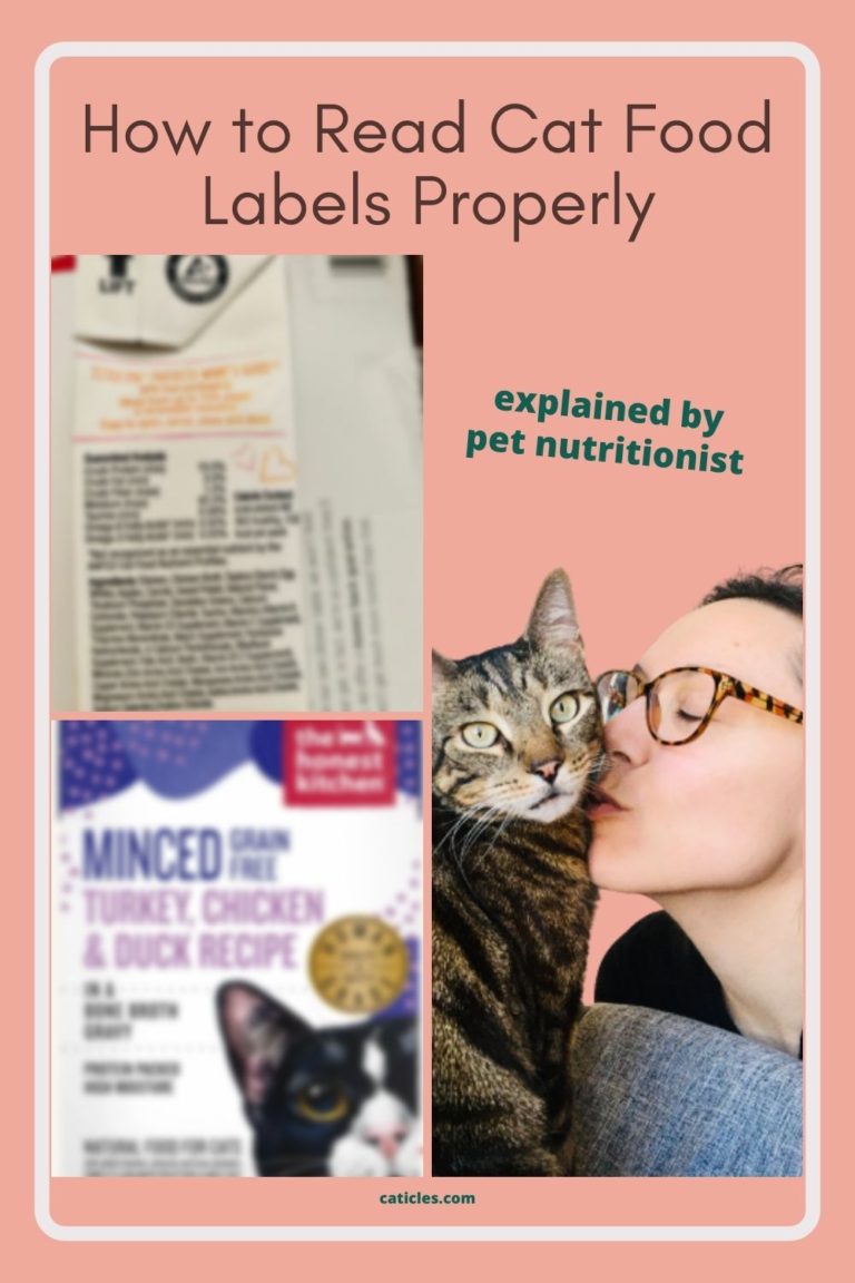 Cat food labels COMPLETE GUIDE - Jess Caticles