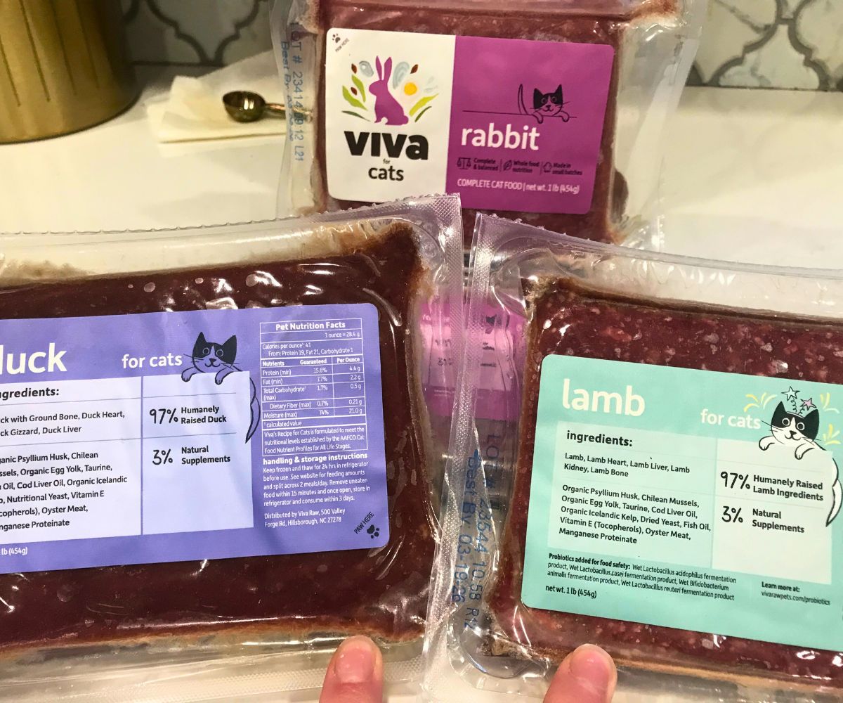 Viva Raw Discount & Cat Food Review - Jess Caticles