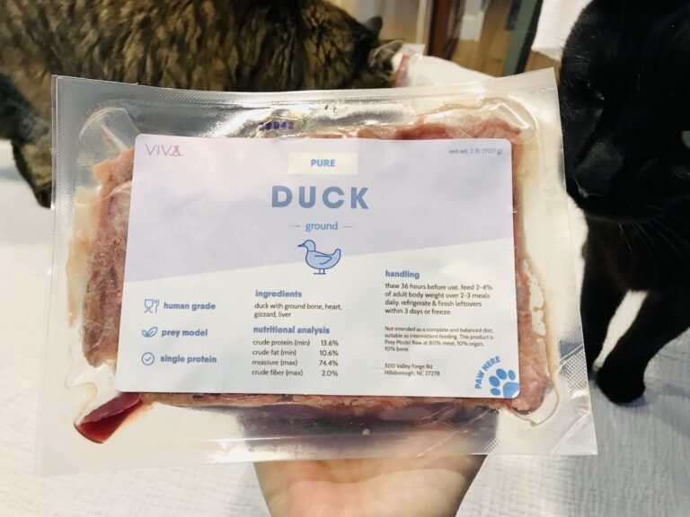 Viva Raw Cat Food Review + Discount - Jess Caticles