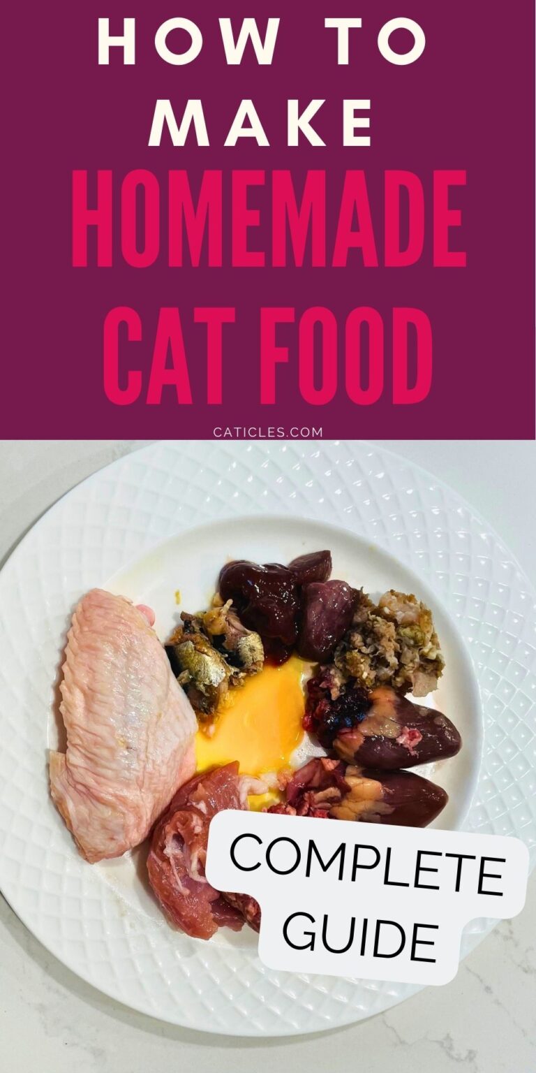 How to make cat food + healthy DIY recipes - Jess Caticles