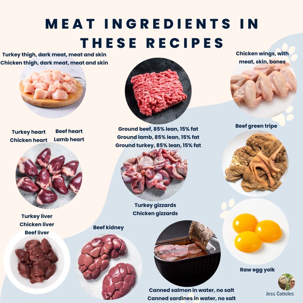 How To Make Cat Food Healthy Diy Recipes Jess Caticles