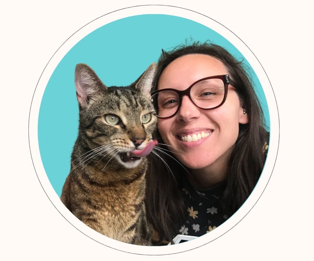 Cat nutrition and how to feed homemade raw to cats - Jess Caticles