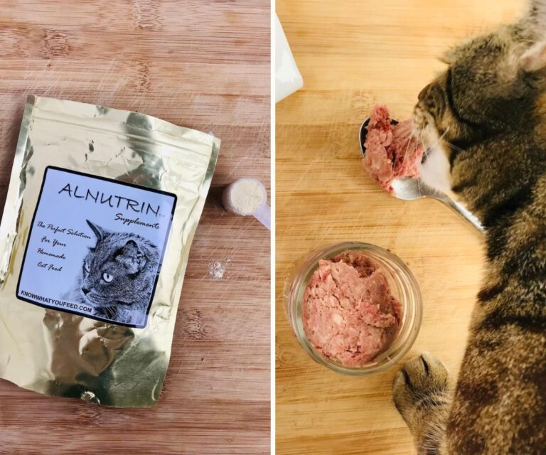 How to make healthy DIY raw cat food for a happier cat - Jess Caticles