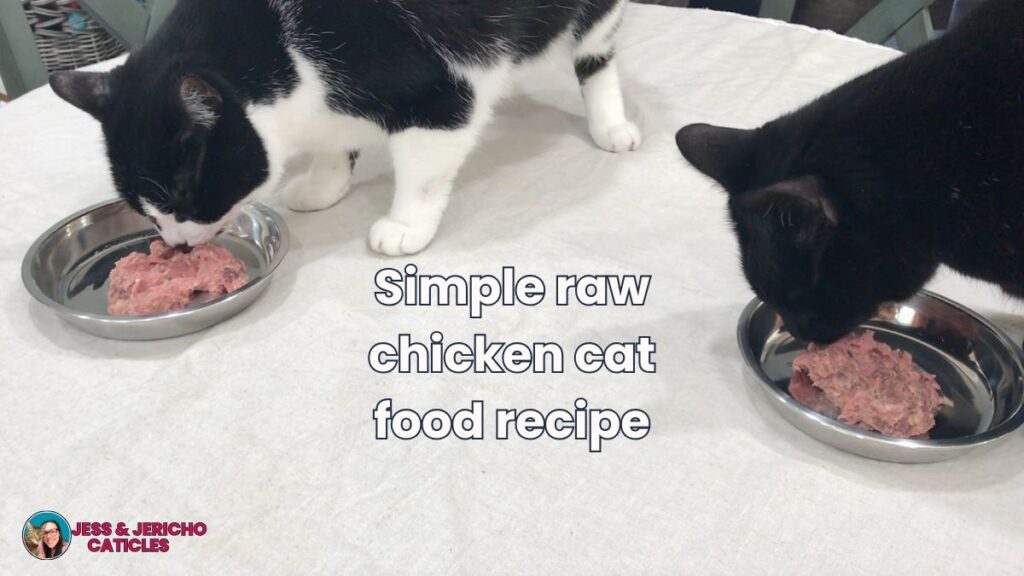 Homemade cat food articles Archives - Jess Caticles