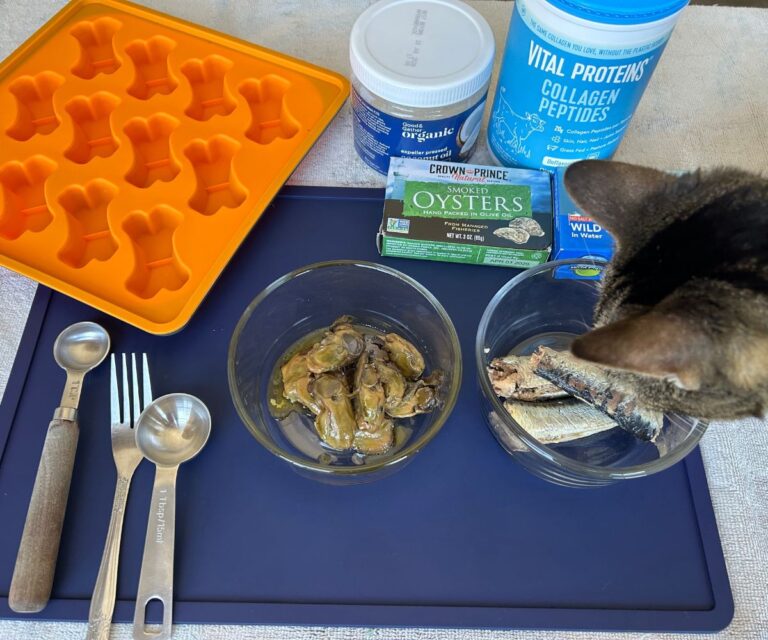 How to make healthy DIY raw cat food for a happier cat - Jess Caticles